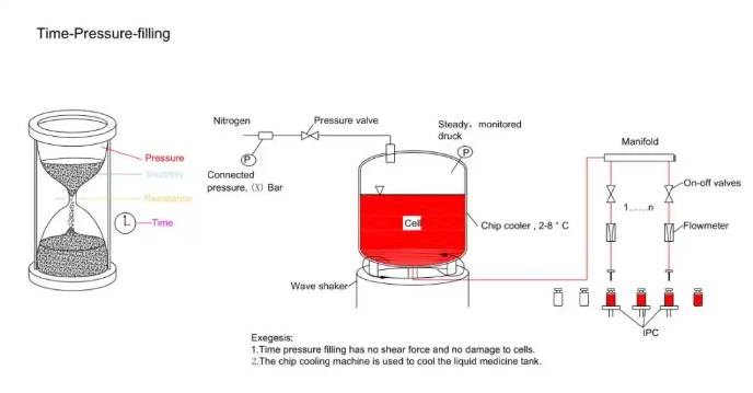 Why Choose Peristaltic Pumps for Aseptic Filling? - JIHPUMP